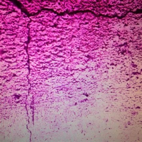 Kool Ad Zig Zag Zig Lyrics And Tracklist Genius