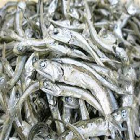 멸치 육수용 7~9cm 500g 배마트