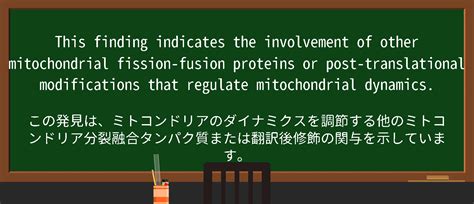 【英単語】mitochondrial Dynamicsを徹底解説！意味、使い方、例文、読み方 おもしろい英文法
