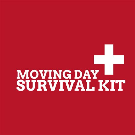 Moving Day Survival Kit