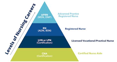 Registered Nurses Education