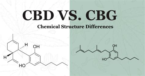 CBG Vs CBD Differences Benefits Effects