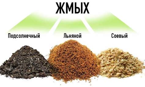 Жмых подсолнечный и льняной для домашних животных виды корма и нормы