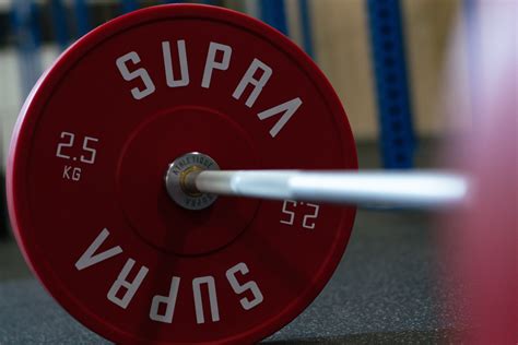 Technique Bar 15 Lb