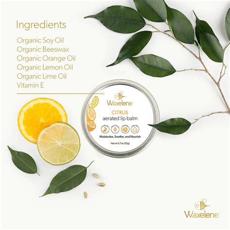 Citrus Aerated Lip Balm Tin 4 Piece Waxelene
