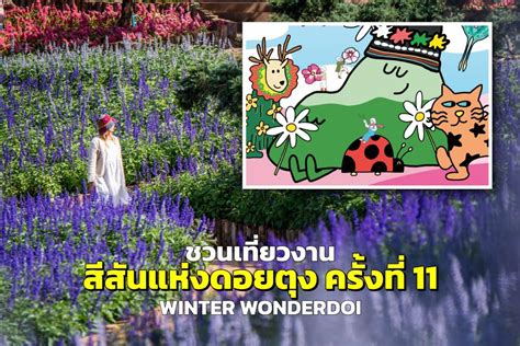 Photo Gallery มูลนิธิแม่ฟ้าหลวงฯ ชวนเที่ยวงาน “สีสันแห่งดอยตุง ครั้งที่ 11”