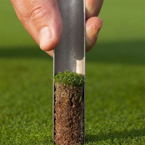 5 Ways To Spot And Treat Early Signs Of Turf Disease Envirospray