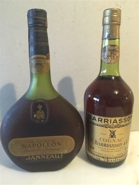 Janneau Napoleon & Barriasson VSOP Cognac - Catawiki