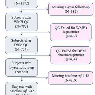 Study Flowchart A Amyloid Beta Dbm Deformationbased Morphometry