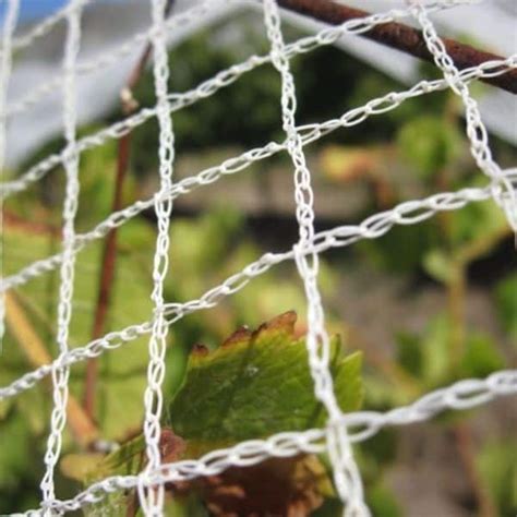 Bird Netting Protect Your Vineyard And Orchard Eyouagro