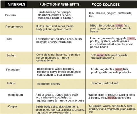 Mineral Chart Final Biology Project Food Chemistry
