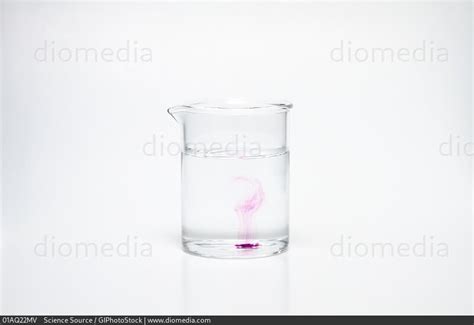 STOCK IMAGE BT0828 01AQ22MV Science Source Search Stock Photos Images Pictures