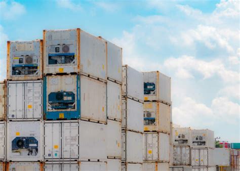 Container Refrigerado Preço Direto de Fábrica