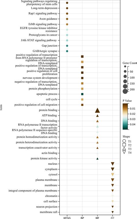 Go Annotation And Kegg Pathway Analyses Download Scientific Diagram