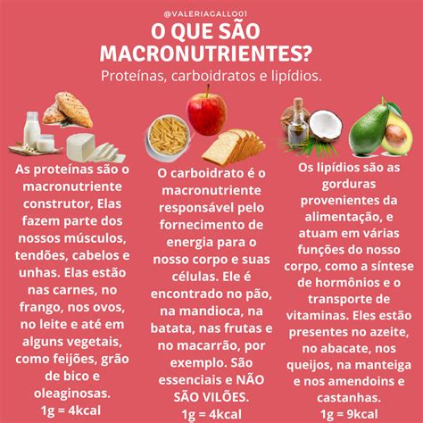 O Que São Macronutrientes Nutrição E Dietética