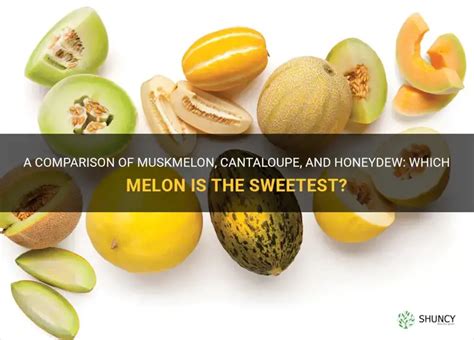 Muskmelon Vs Cantaloupe Vs Honeydew Key Differences In Taste Texture