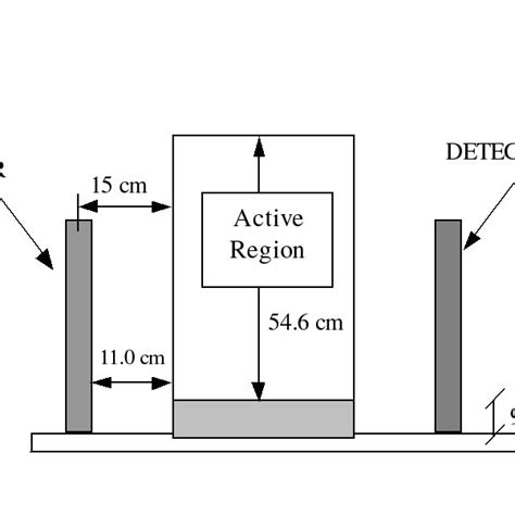 side view of the nucleus and the detector positioning download
