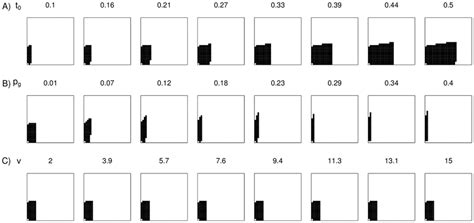 Testing Model Robustness The Relationship Between Parameter Values And