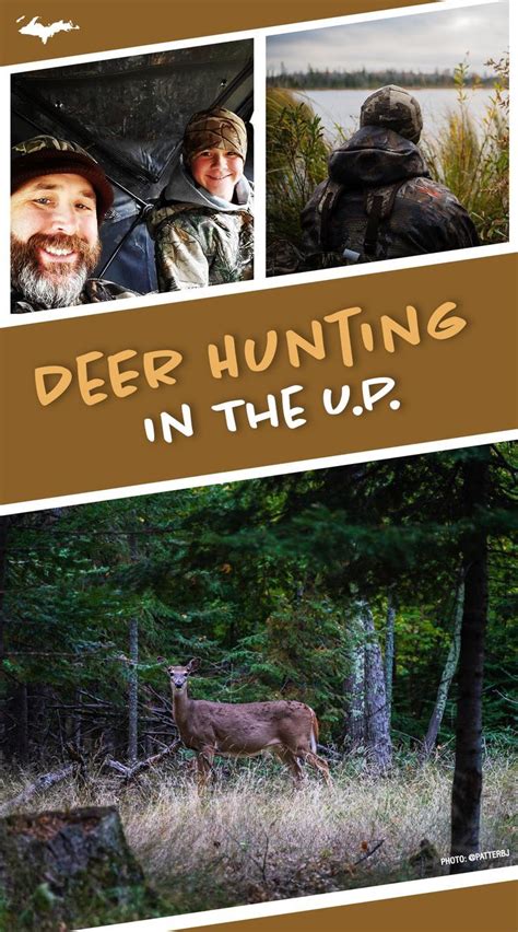 Deer Hunting In The Upper Peninsula Of Michigan Michigan Deer Hunting