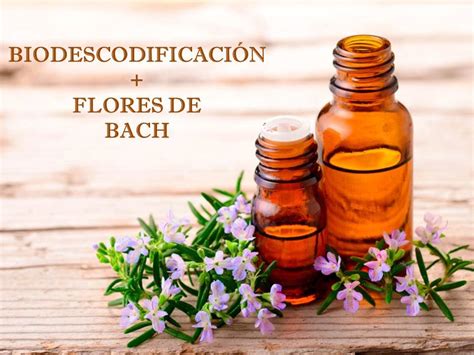 Terapia De Biodescodificación Flores De Bach