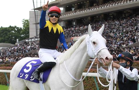 ソダシ（sodashi） 競馬データベース Jra Van World 海外競馬情報サイト