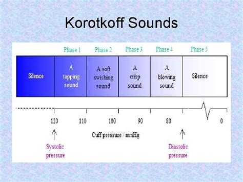 Pulse And Blood Pressure Vital Signs Vital Signs