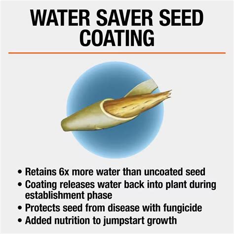 Buy 20 Lbs Tall Fescue Grass Seed Blend With Water Saver Seed Coating