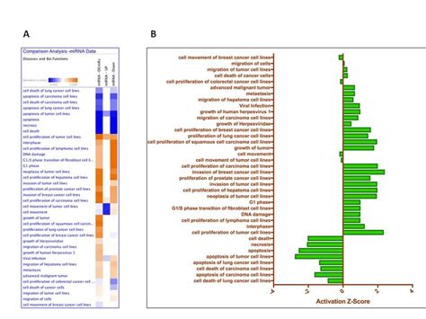 The Comparison Analysis Of Differentially Expressed Mirnas Upregulated
