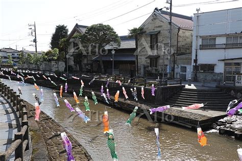栃木市 巴波川 こいのぼり 220470959 の写真素材 アフロ
