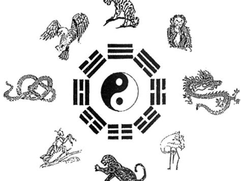 Qual Dos Estilos Do Kung Fu Animais É O Melhor Para Você☢️ Explore As