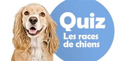 Github Manutrepant Quizgame Jeu De Quiz Exercice Apprenant Js