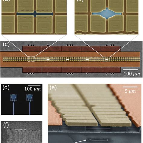 A False Colored Scanning Electron Micrograph Sem Image Of The Download Scientific Diagram