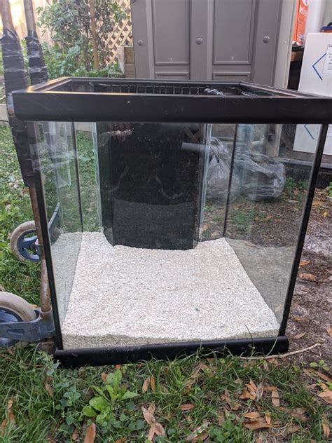 60 Gallon Cube Aquarium For Sale In Tampa Fl Offerup