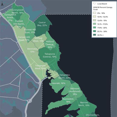 Ai Deployed To Track Declining Tree Cover Rangitoto Observer