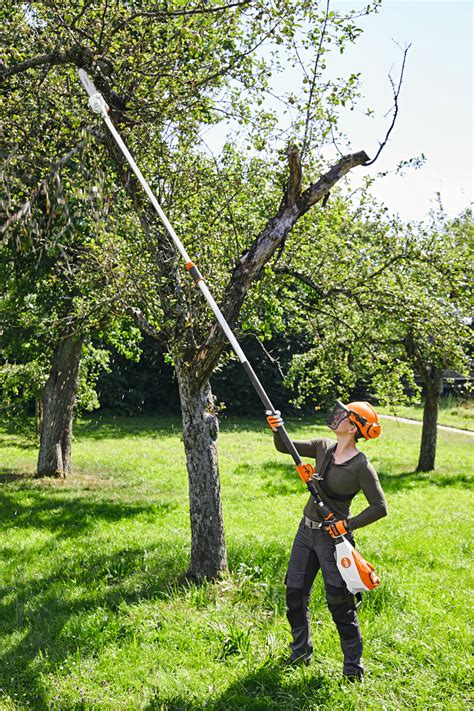 HTA Accuhoogsnoeier STIHL