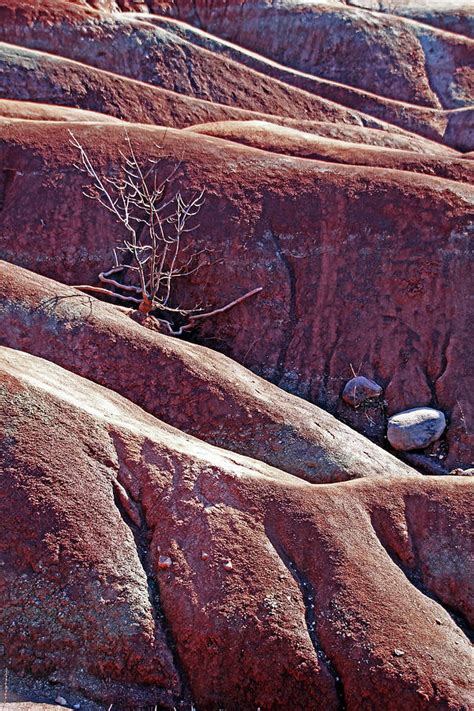 Red Badlands Vi Photograph By Debbie Oppermann Pixels