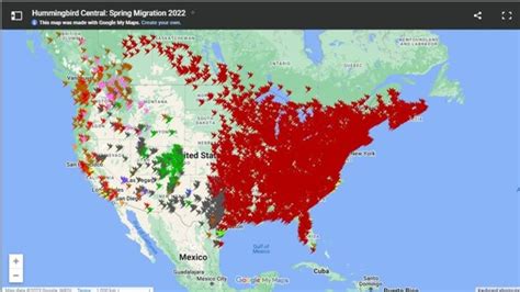 2023 Hummingbird Migration Map Find Out When To Expect Them Reportwire