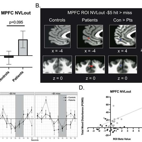 Medial Prefrontal Cortex Activity In Response To Reward No Loss