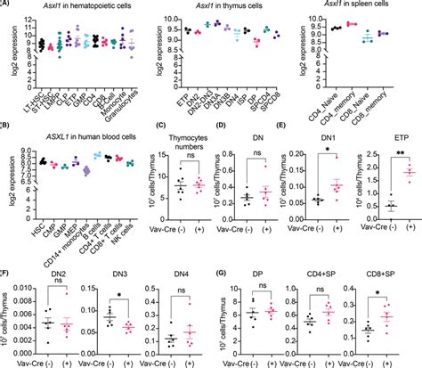 asxl1‐mt perturbs t‐cell development in the thymus a b log2