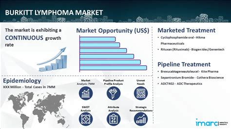 Burkitt Lymphoma Market Size Trends And Forecast 2024 2034