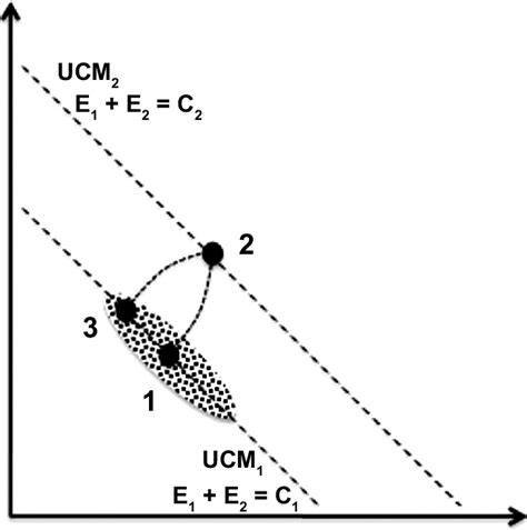 An Illustration Of A Task Of Producing A Constant Sum C Of 2 Download Scientific Diagram