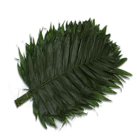 Camedor Distribudora Hermanos Rojas