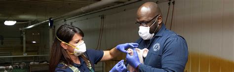 Veterinary Medicine Extension College Of Veterinary Medicine Purdue