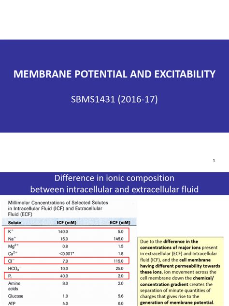 3 Membrane Potential And Excitability 2016 17 Pdf Membrane
