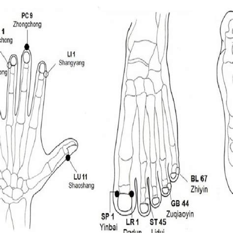 The 12 Jing Well Points For The Yang Meridian And For The Ying