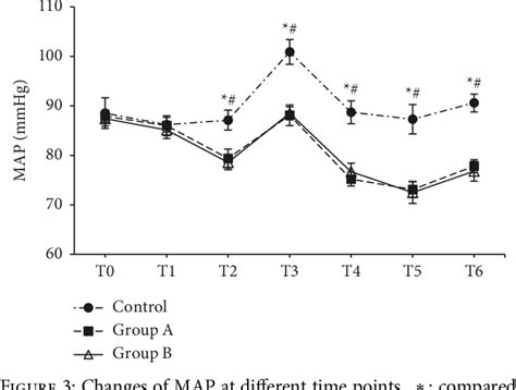 Figure 3 From Functional Magnetic Resonance Imaging Of Brain Function