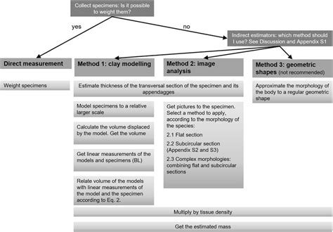 Flowchart Summarising The Steps Of Each Method Download Scientific