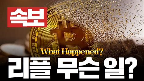 리플 무슨 일 Youtube