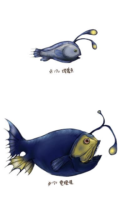 葉子的三號站 「塗鴉」夏天畫魚圖鑑pm