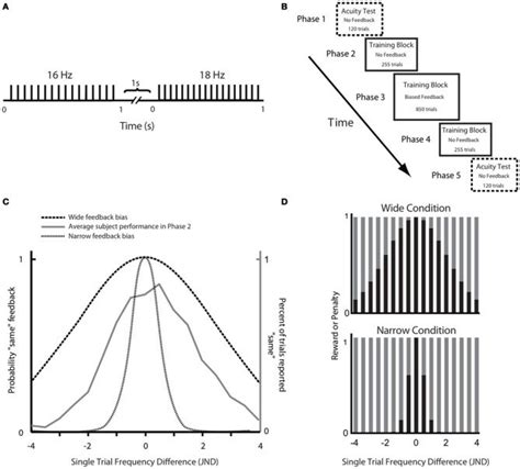 Experimental Paradigm A Schematic Representation Of A Stimulus Pair Download Scientific